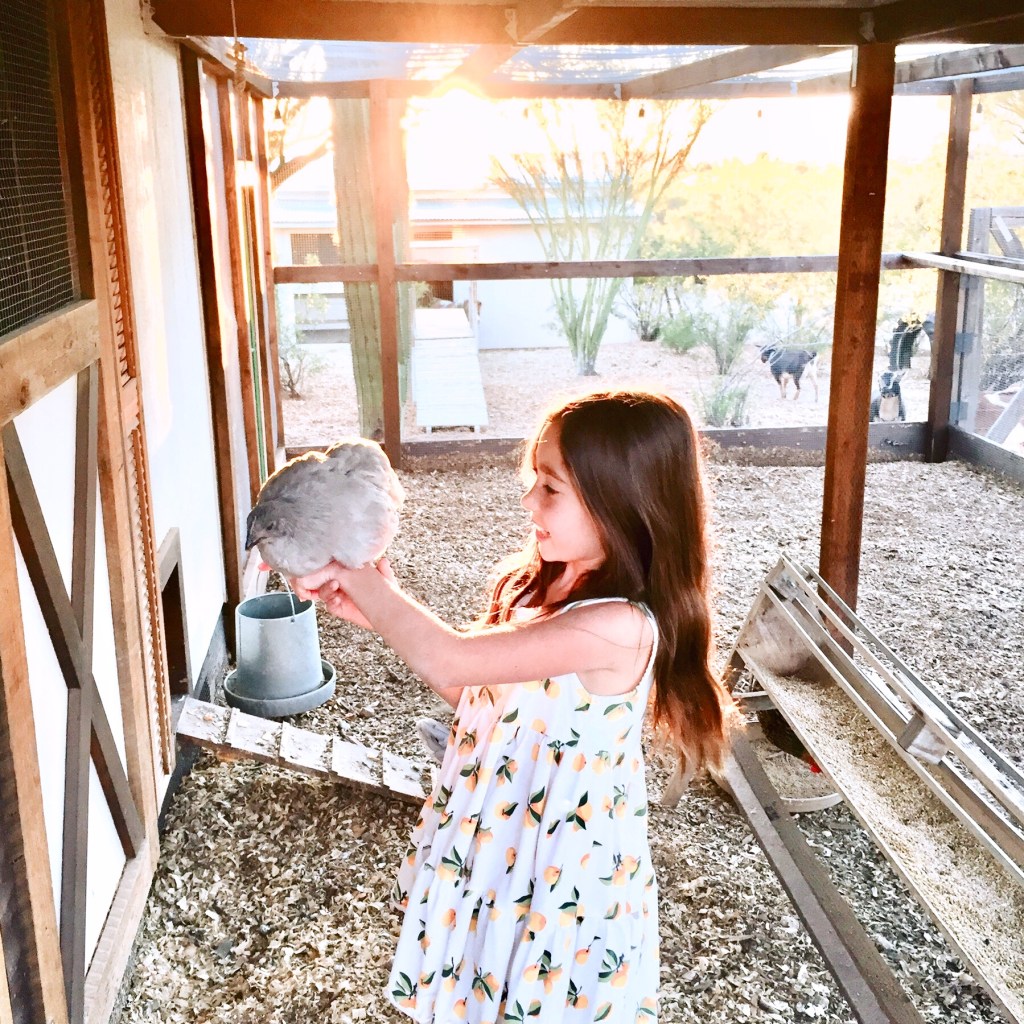 Our Story – Fest Farms Handmade + Homegrown