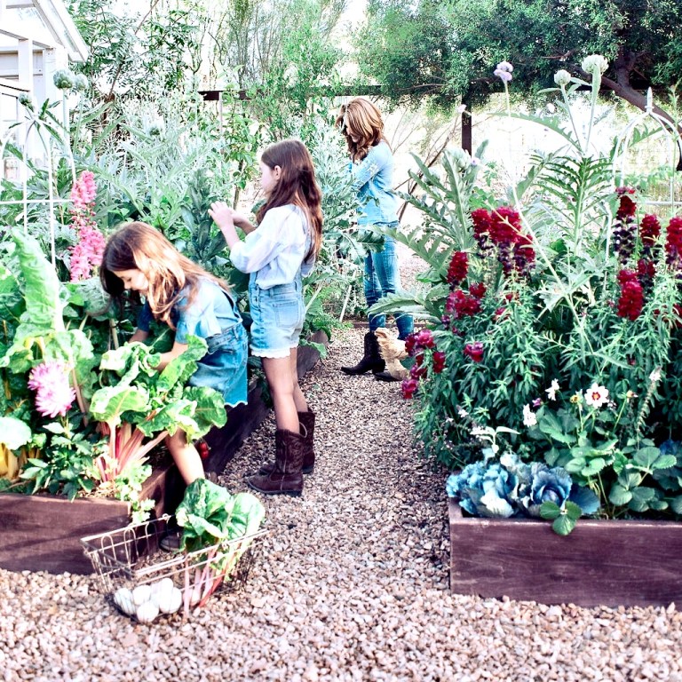 Farm to Table – Fest Farms Handmade + Homegrown