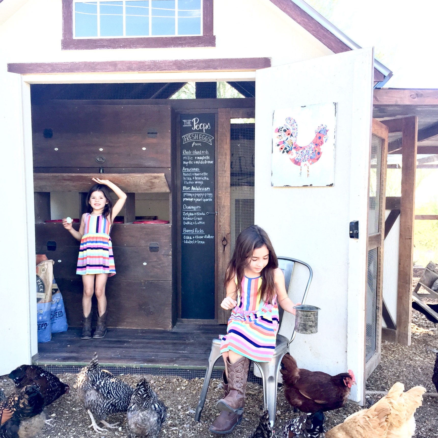 Tour the Coop + Chicken Care in the Desert Heat – Fest Farms Handmade ...