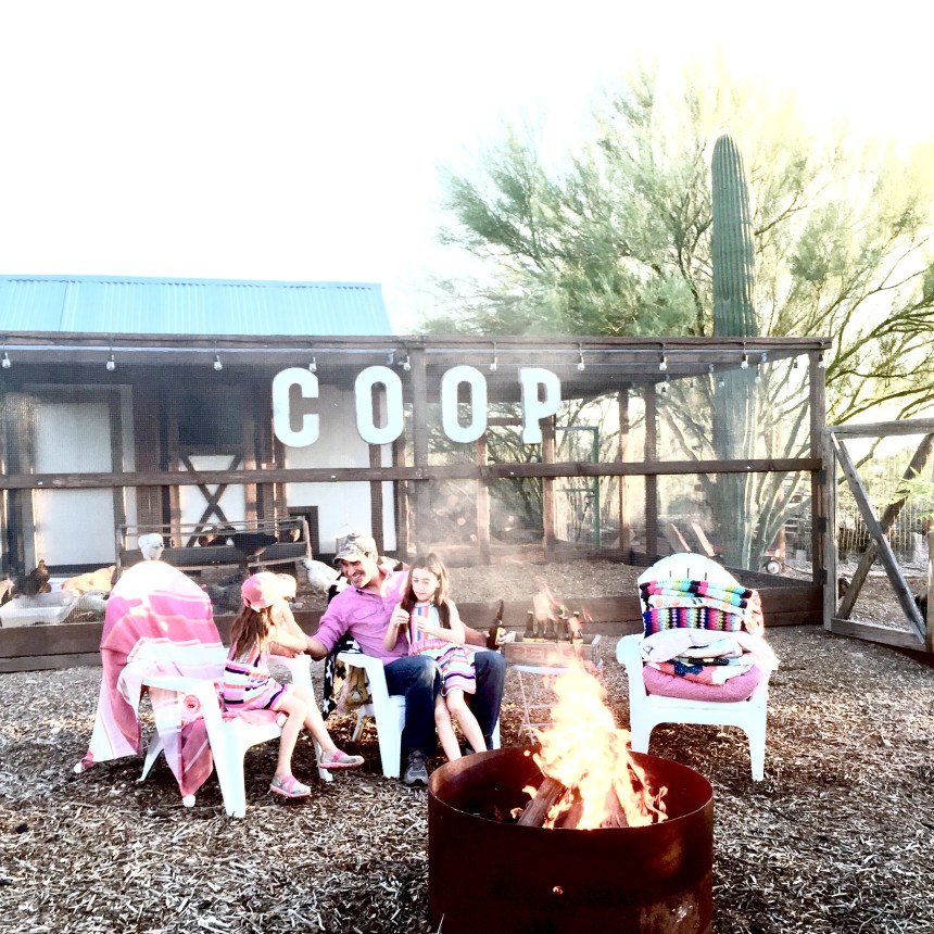 Fest Farms Handmade + Homegrown – Growing our Farm & Garden in the ...