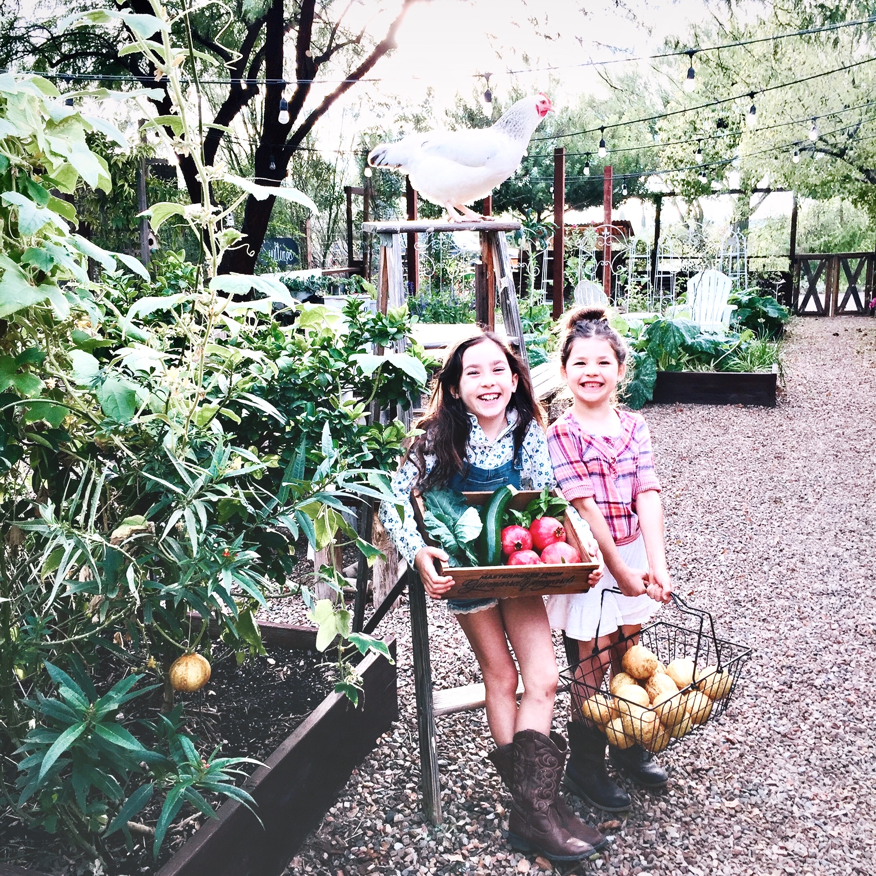 Fest Farms Handmade + Homegrown – Growing our Farm & Garden in the ...