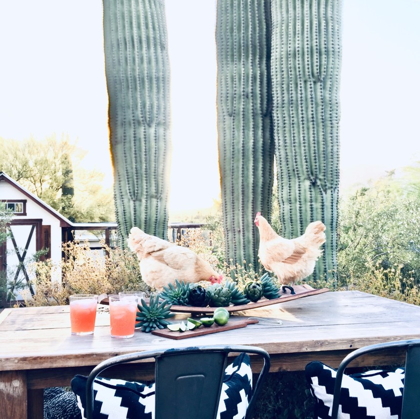 Fest Farms Handmade + Homegrown – Growing our Farm & Garden in the ...