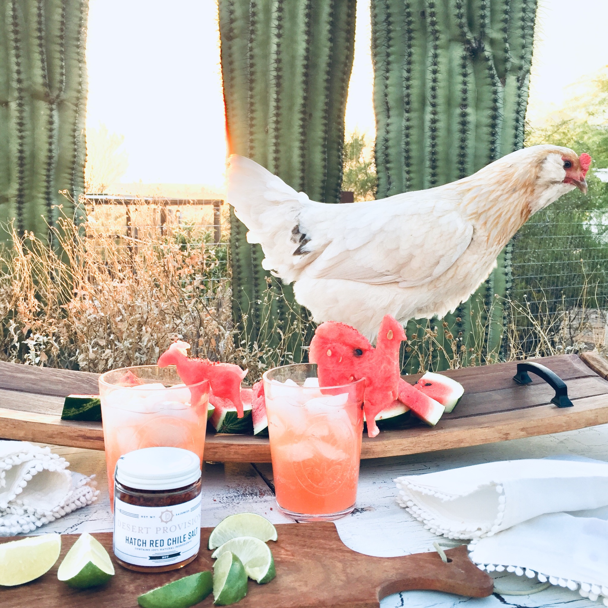 4th of July Party ~ Farmhouse Hacienda Style – Fest Farms Handmade ...