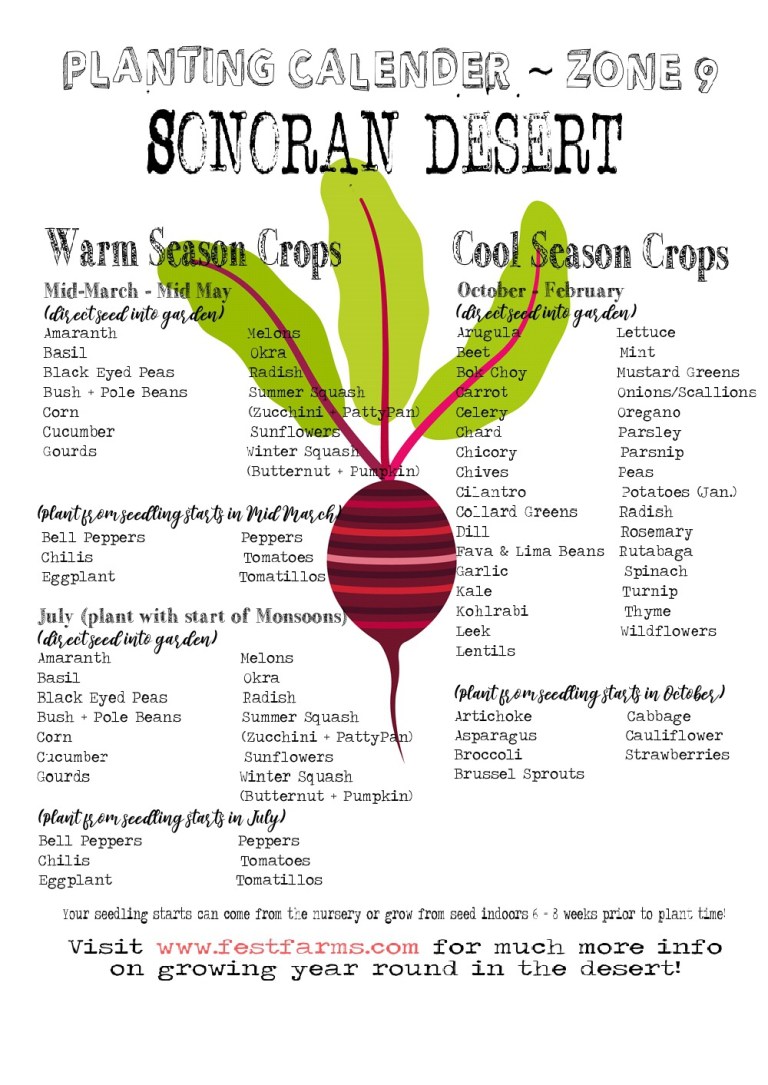 Gardening in the Desert – Fest Farms Handmade + Homegrown
