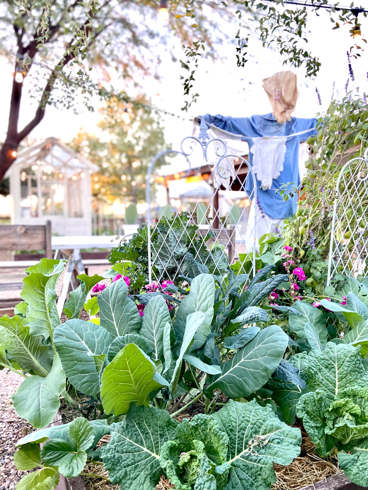 Designing your Backyard Farm + Garden – Fest Farms Handmade + Homegrown